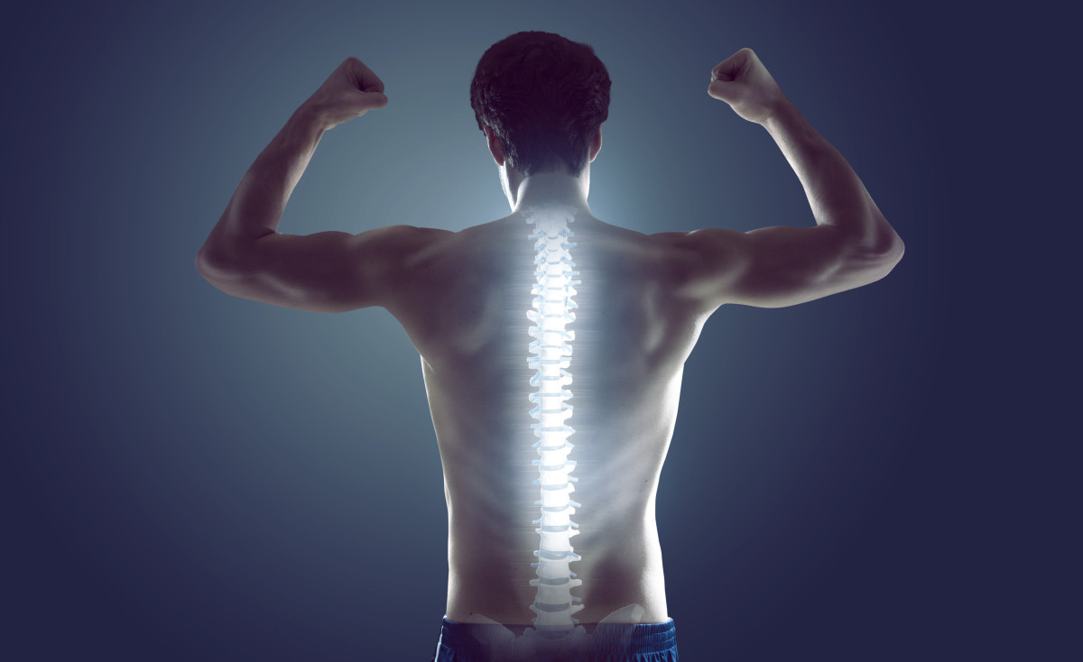 Mechanical Disorders of the Spine - The Spine Community